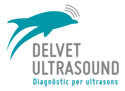 Delvet Ultrasound - Inicio